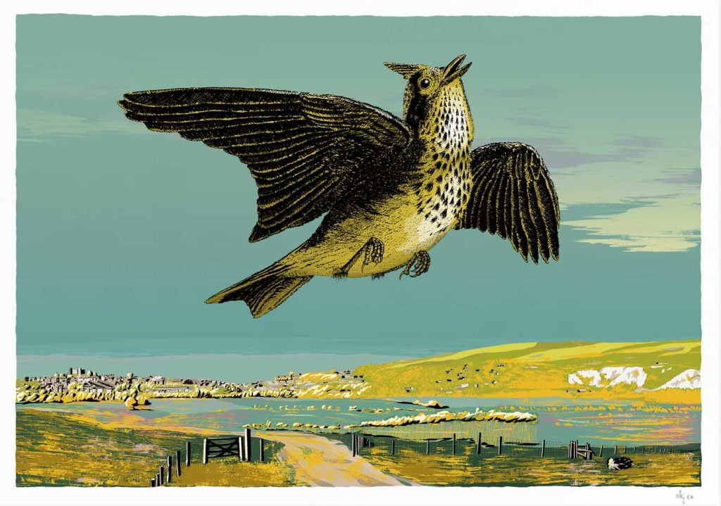The Lark Ascending over Lewes by Alej ez - Print and Framing